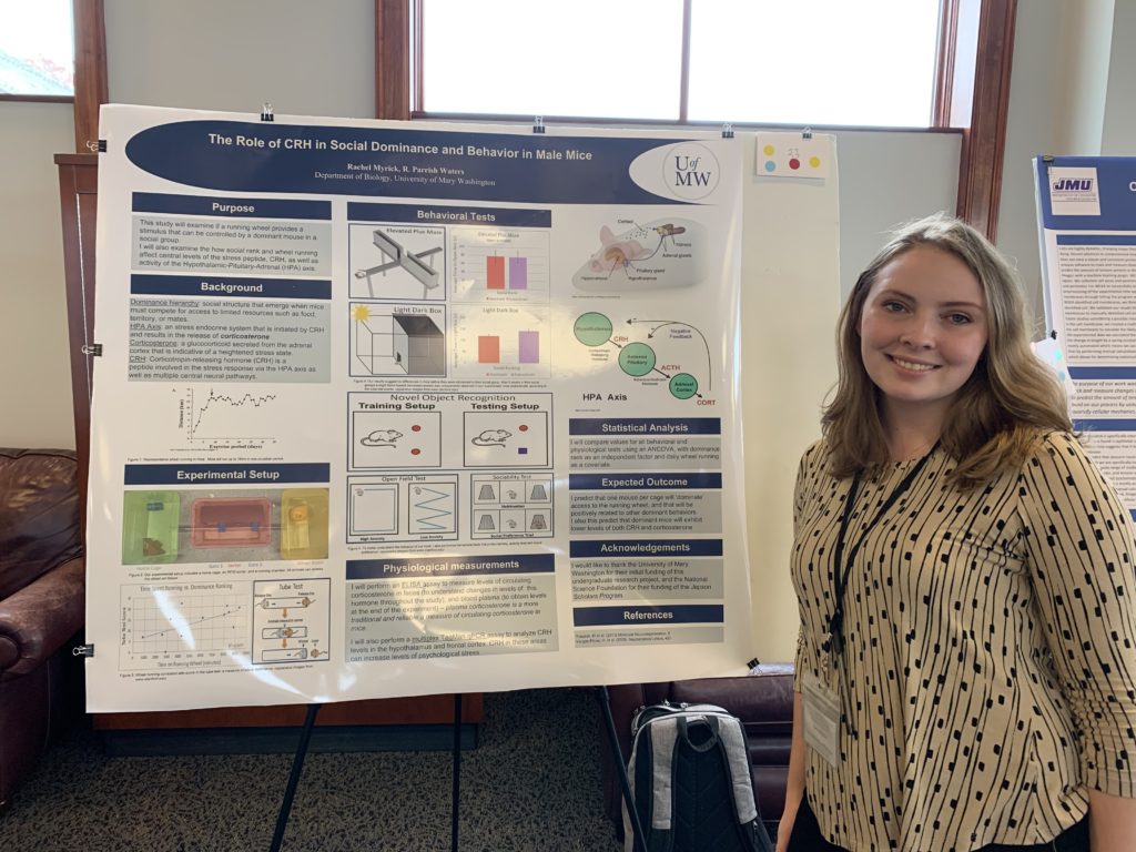 Biology students win awards at Virginia Academy of Science ...
