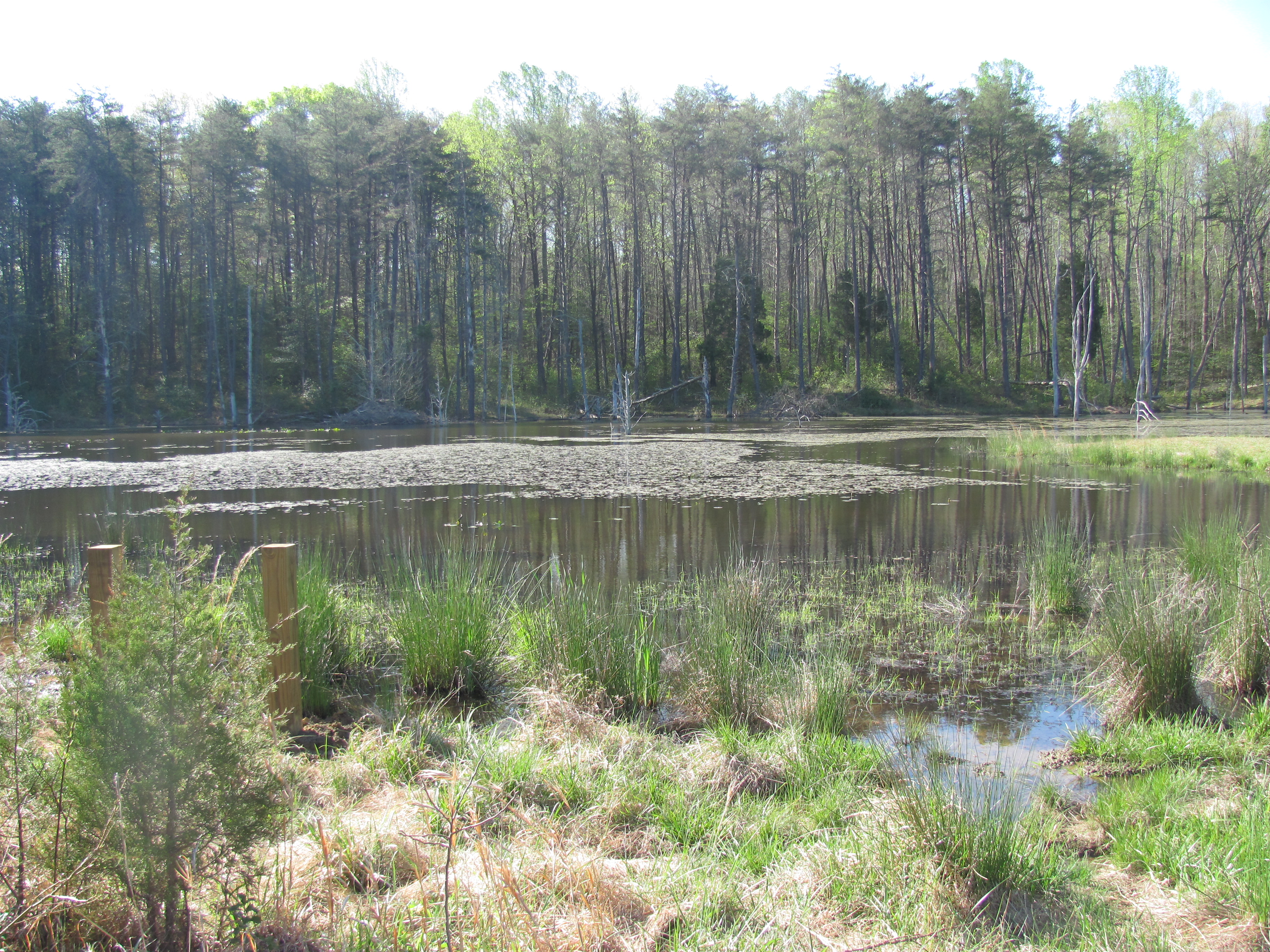 Eagle Lake Outpost - Biological Sciences