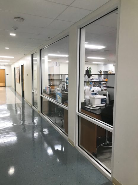 Prospective UMW Students - Biological Sciences